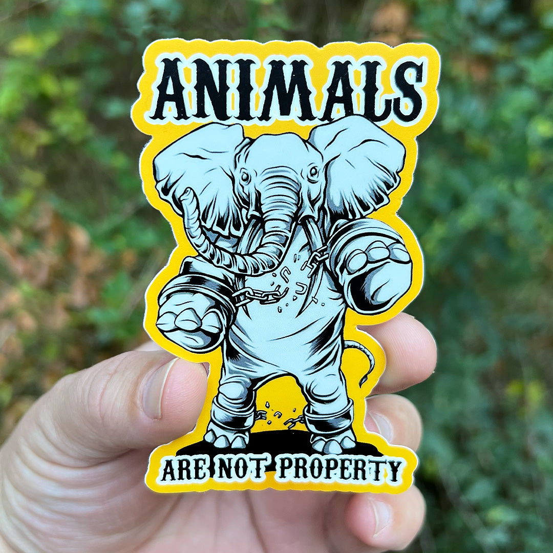 Animals Are Not Property - Sticker – Compassion Co